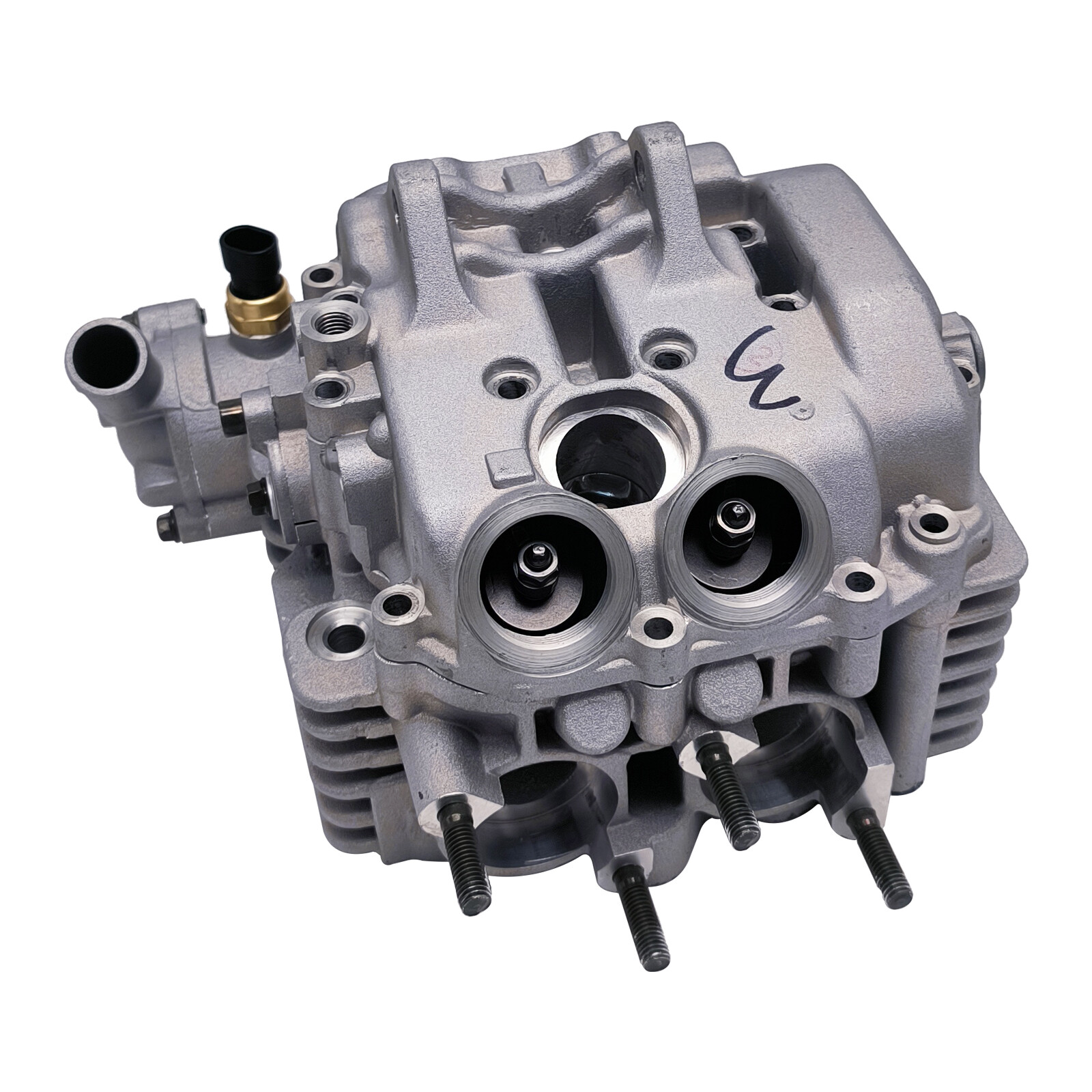 Full Cylinder Head EFI 1220A-007E-0000 For Hisun 700 UTV ATV MSU ...