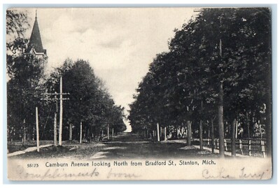 1907 Camburn Avenue Looking North Bradford St. Stanton Michigan Vintage ...