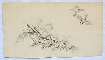 Gravure Originale à la Taille-Douce de René Cottet - Fleurs et Oiseaux ...