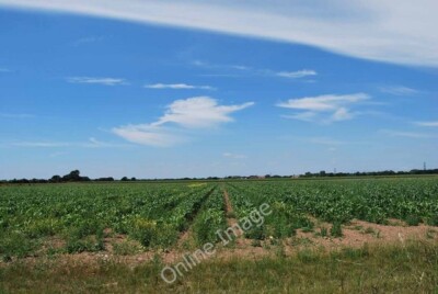 Photo 6x4 Arable land seen from Posbrook Lane Little Posbrook c2010 ...