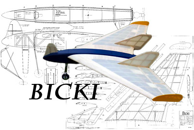 Bicki Delta Wing Pusher 50" WS RC Airplane Laser Cut Balsa Short Kit ...