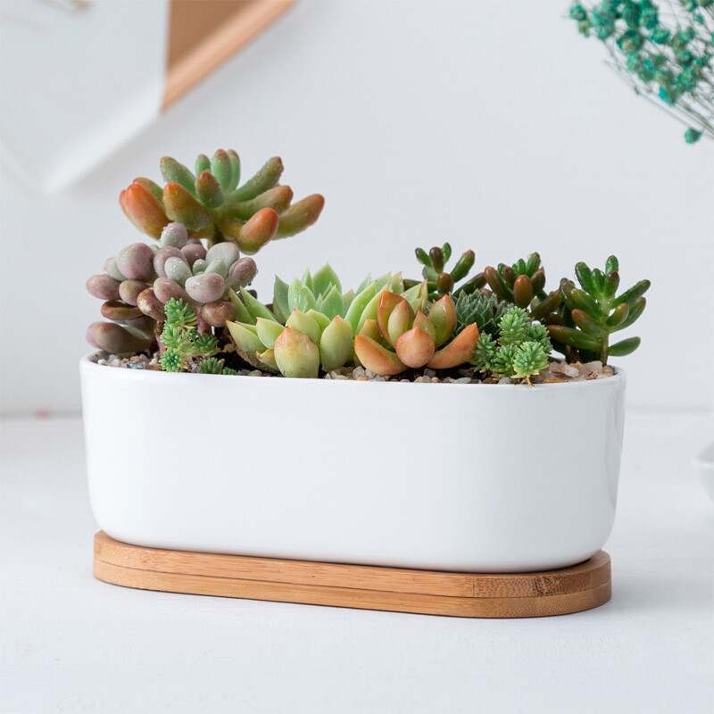 Handmade Ceramic Flower Pots