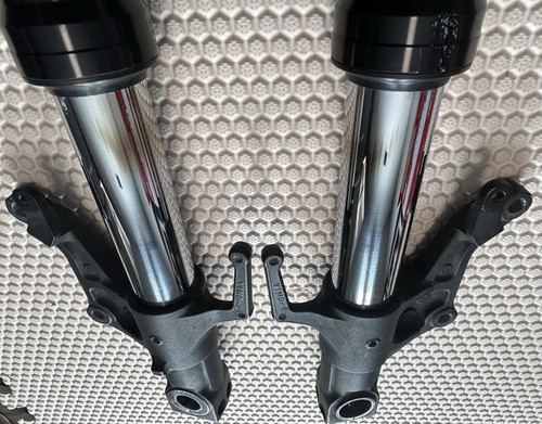14-21 YAMAHA FJR1300 ES FJR 1300 ES Front Suspension Fork Tubes Shock ...