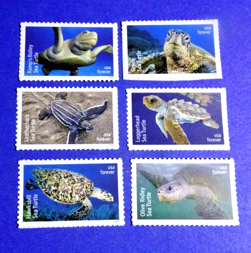 US 5865-5870 PROTECTED SEA TURTLES 2024 SET OF "6" PANE 'SINGLE" STAMPS ...
