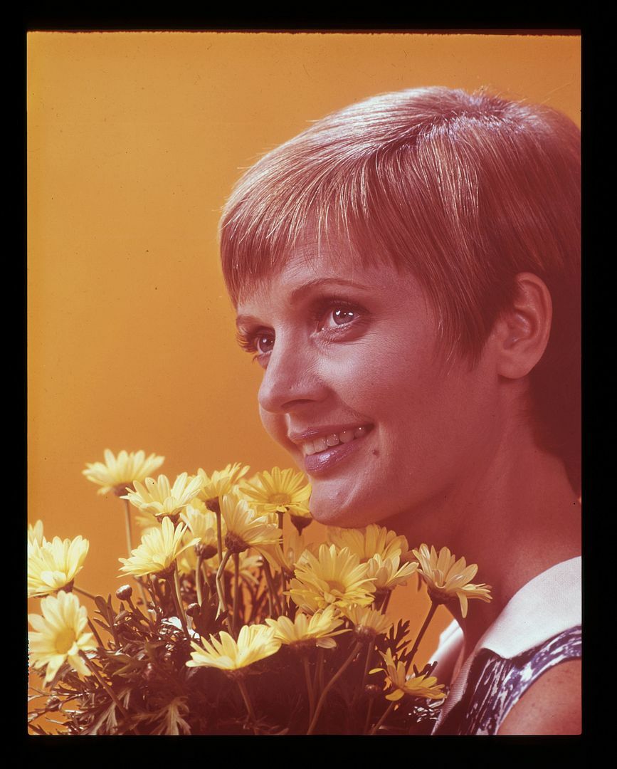 Florence Hendersoncarol Brady