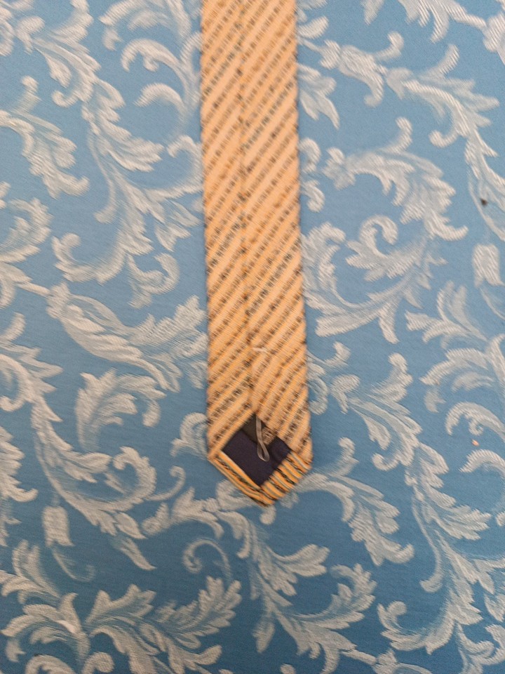 CRAVATTA ERMENEGILDO ZEGNA 100% SETA TIE SILK VINTAGE MADE IN ITALY ...