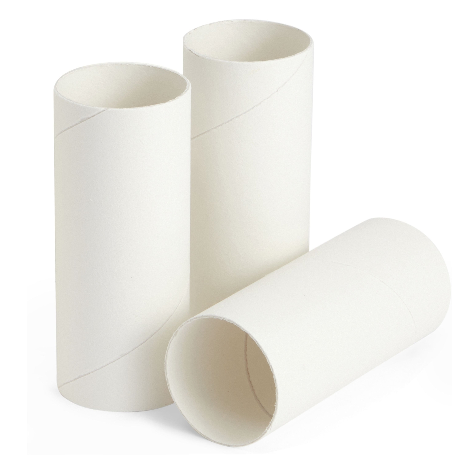 48 Pack Cardboard Tubes, Empty White Toilet Paper Rolls for Crafts, 1.6 ...