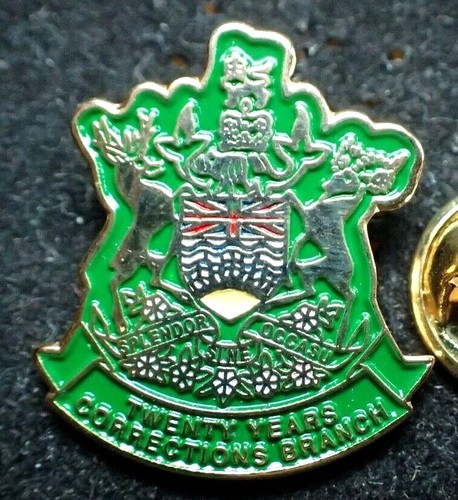 BC Corrections Branch Pin - Twenty Years | eBay