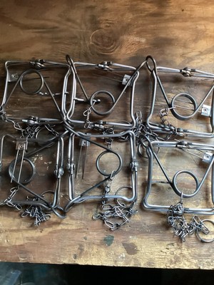 6 NEW 110 DUKE BODY GRIP CONIBEAR TRAPS. MUSKRAT MINK MARTIN RABBIT ETC ...