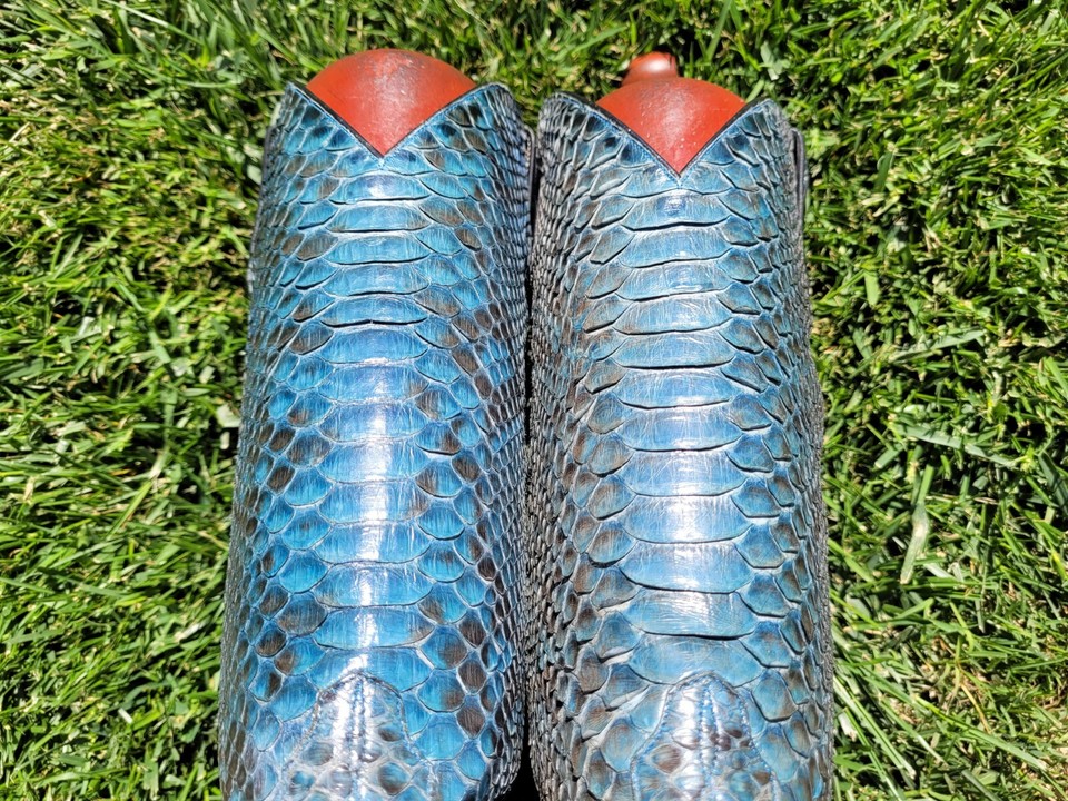 10.5 D ⭐ ANDERSON BEAN ⭐ BLUE ⭐ PYTHON ⭐ SNAKE ⭐ EXOTIC ⭐ RARE ⭐ ...