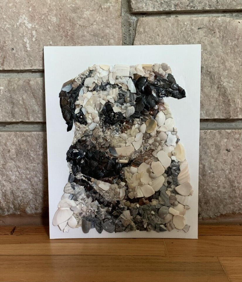 Custom Seashell Art Pet Portraits from YOUR photos, Handmade, 8" x 10 ...