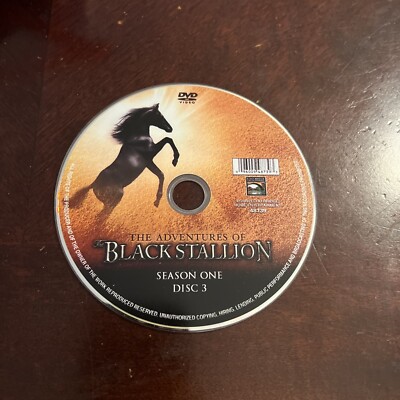 The Adventures of the Black Stallion - First Season Dic 3 (DVD, 2006 ...