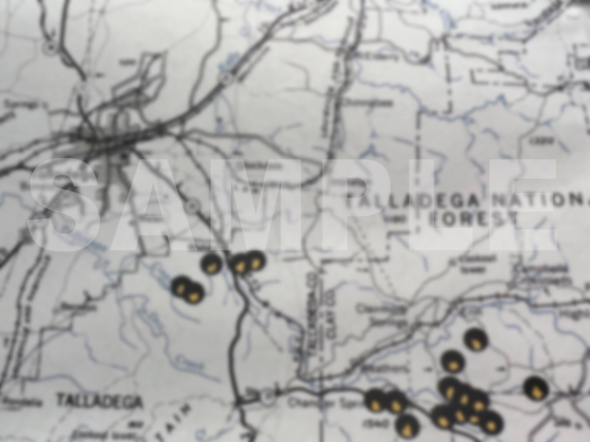 Gold From Talladega National Forest Ozark Trail Between The Rivers