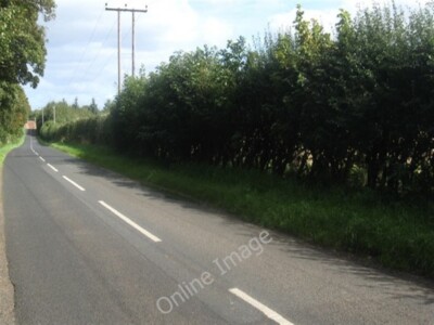 Photo 6x4 High hedges line one side and trees the other Stenton/NT6274 ...