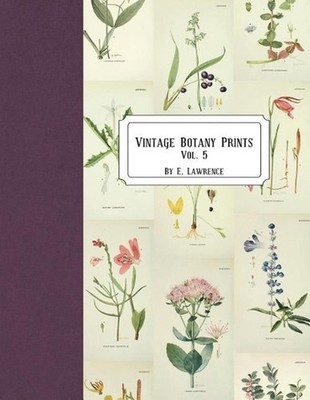 Vintage Botany Prints: Vol. 5 by E. Lawrence (English) Paperback Book ...