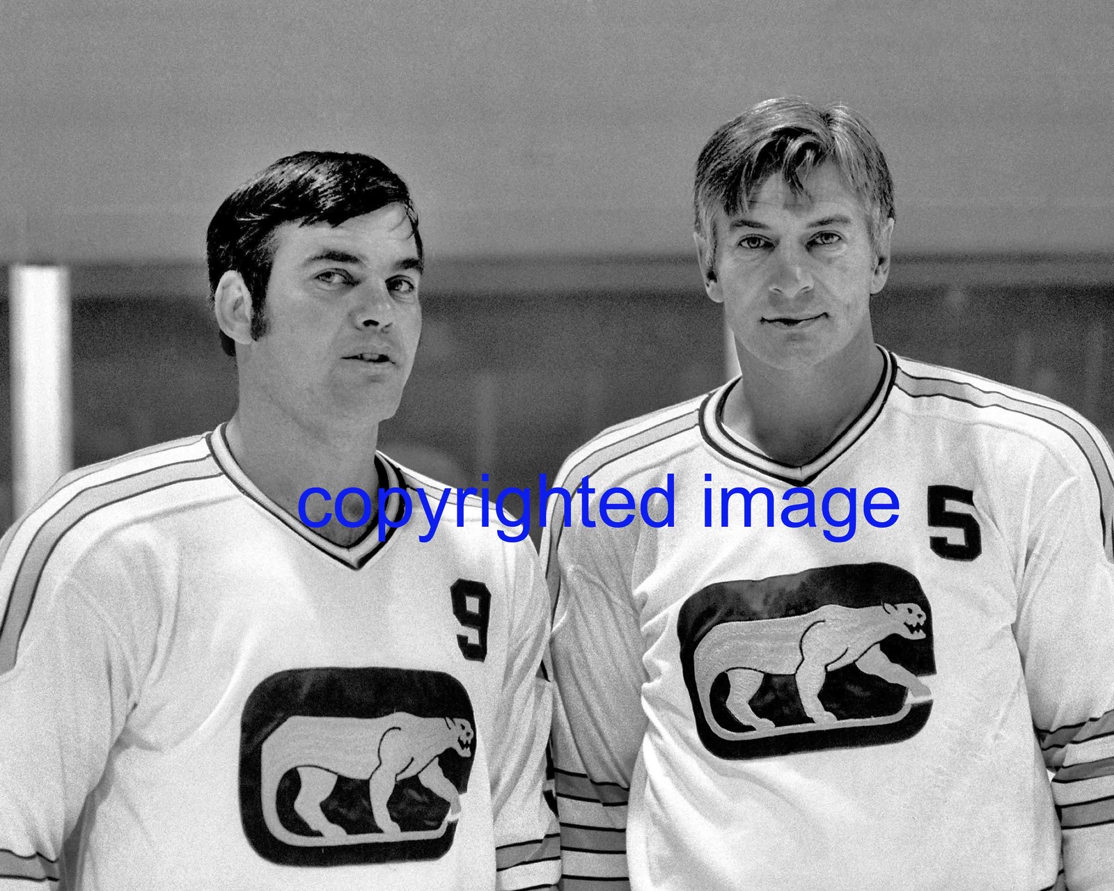 Chicago Cougars WHA Hockey Rosaire Paiement- Larry Cahan B+W 8X10 | eBay