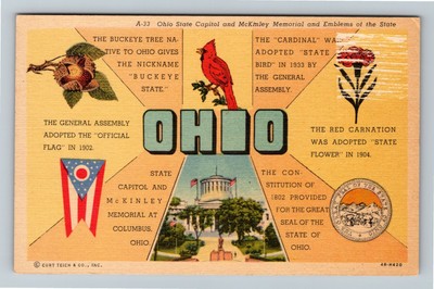 Ohio State Bird Flower And Tree | Best Flower Site