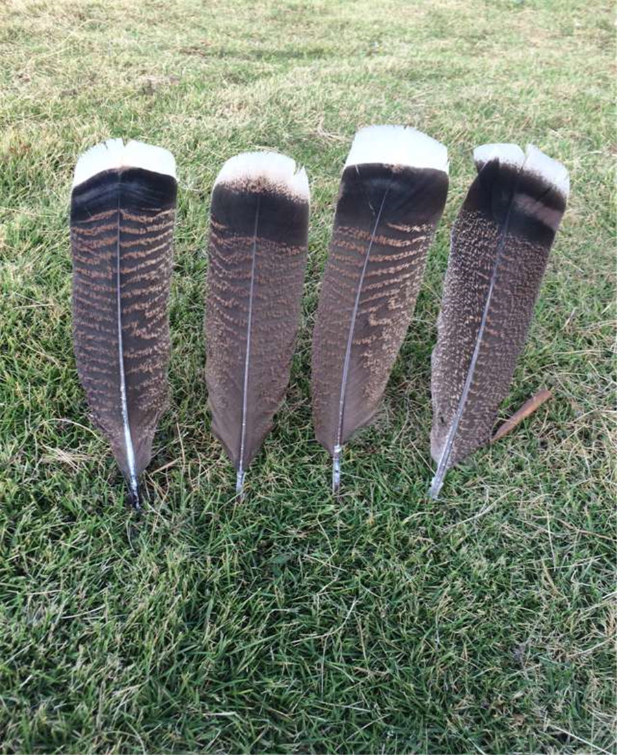 Turkey Tail Feathers Costume