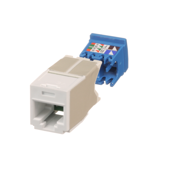 Panduit CJ6X88TGWH Cat 6a Jack Module - White for sale online | eBay