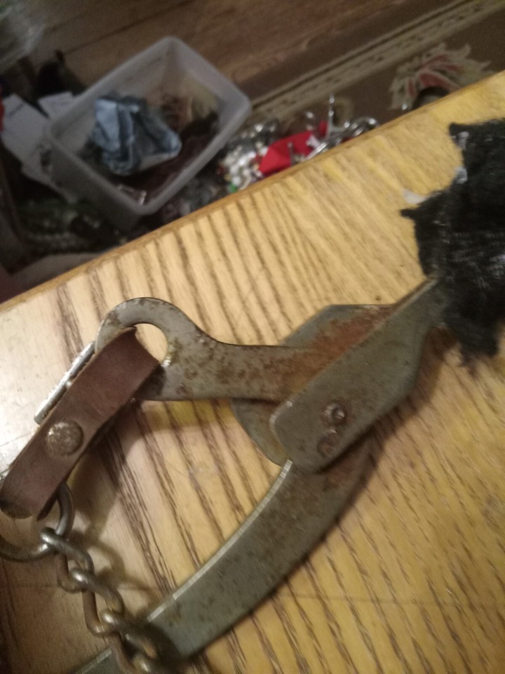 Used Mechanical Hackamore | eBay