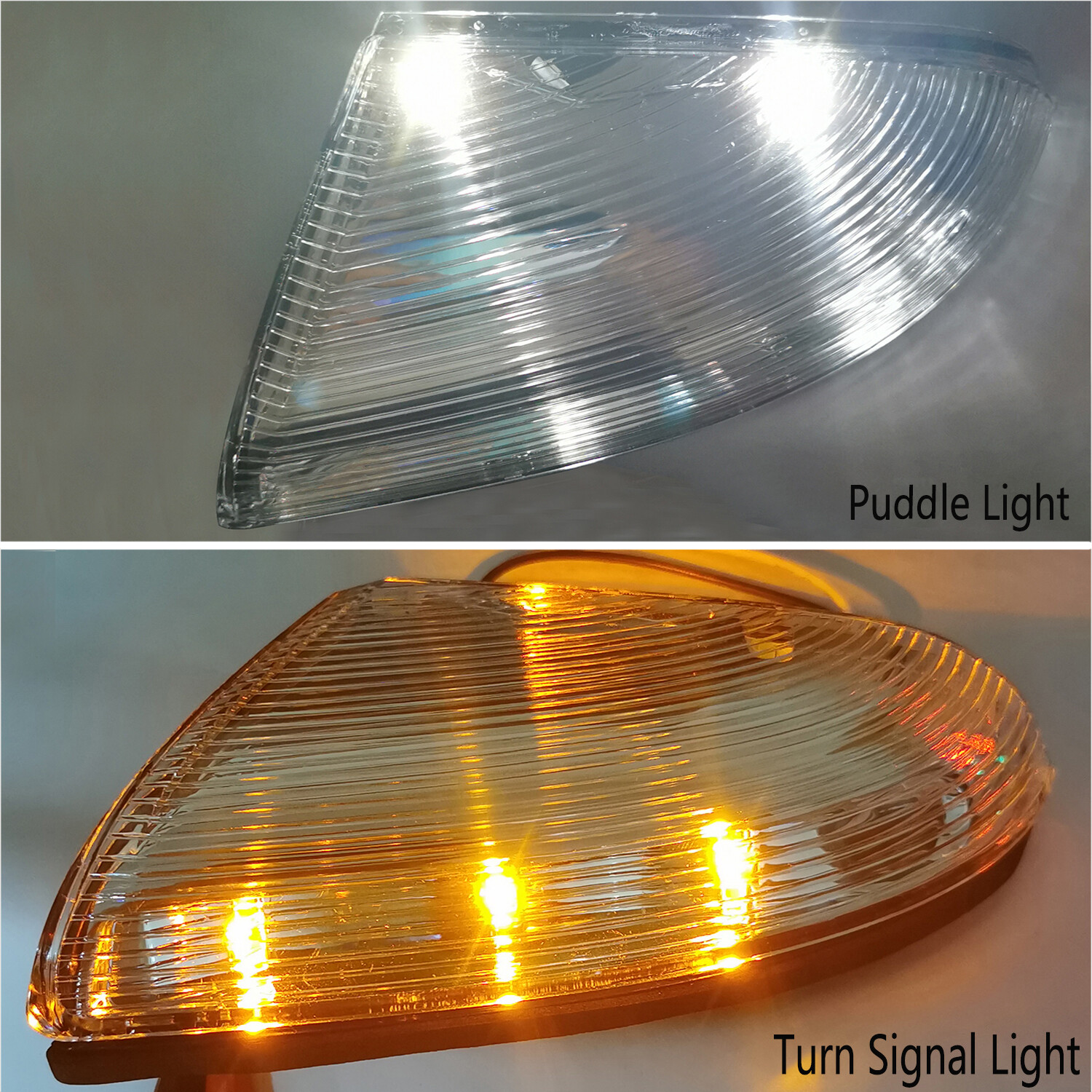 Passenger Mirror Turn Signal Puddle Light Lamp For 09-14 Dodge Ram 1500 ...