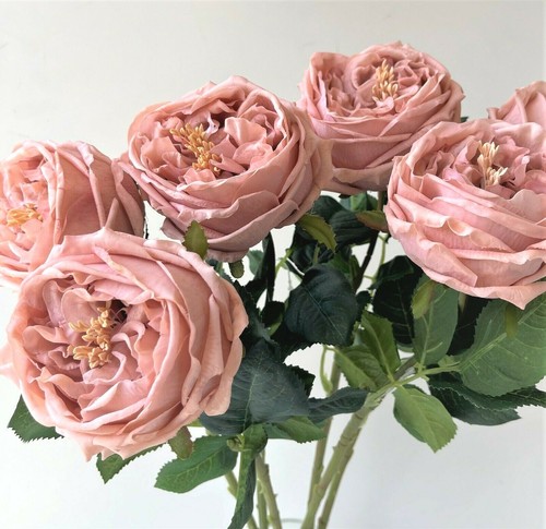 Real Touch Rose Stem Latex David Austin Roses Stems Blush Artificial ...