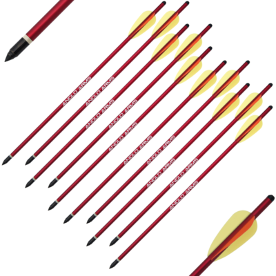 Hunting Crossbow 10 X 16" Aluminium Crossbow Bolts Anglo Arms Archery ...