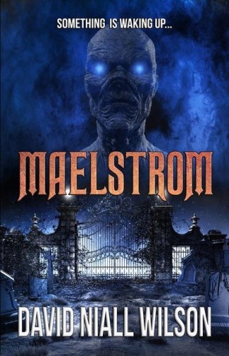 Maelstrom by Wilson, David Niall [Paperback] NEUF | eBay