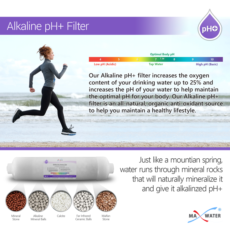 Alkaline Filter – Mineral Water Filter Replacement – Inline Filter 2 ...