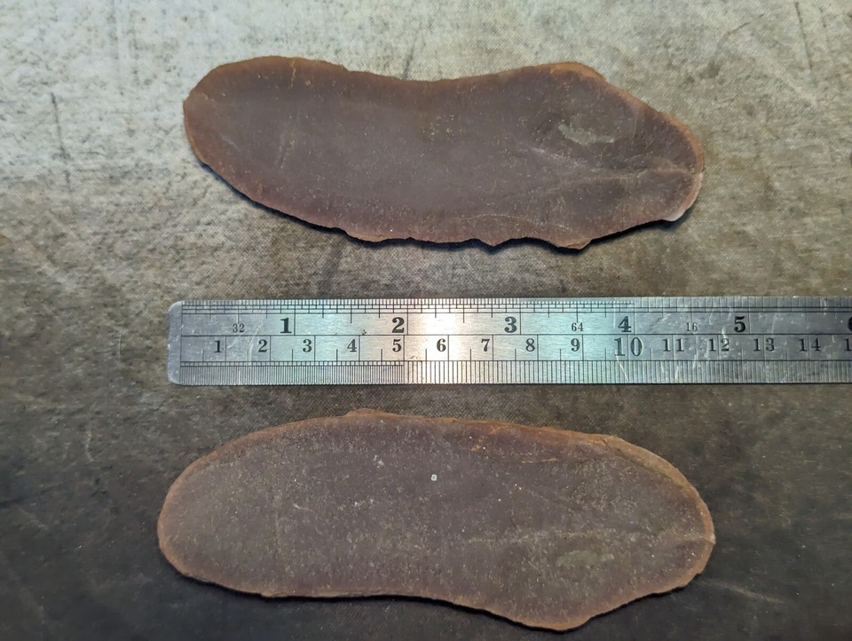 Mazon Creek Fossil Tully Monstrum , Large eye bar, Pit 11 ex MWF ...