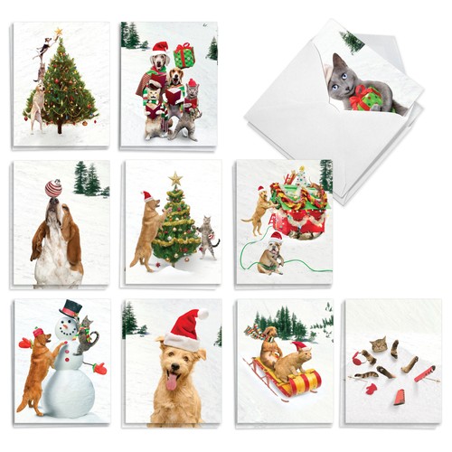 20 Assorted Christmas Note Cards 4"x5.12" w/Env. (2 Each) Pet Holiday ...