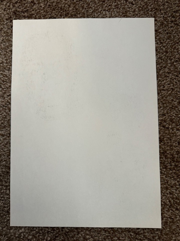 WILLIS REED ~ NY Knicks~ B&W Print by George Loh~ approx 8x10~ EUC | eBay