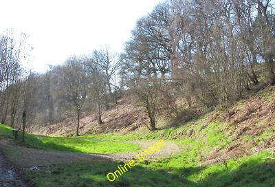 Photo 6x4 Spring sunshine, Ash Dale Carlton/SE6086 Taken at the point ...