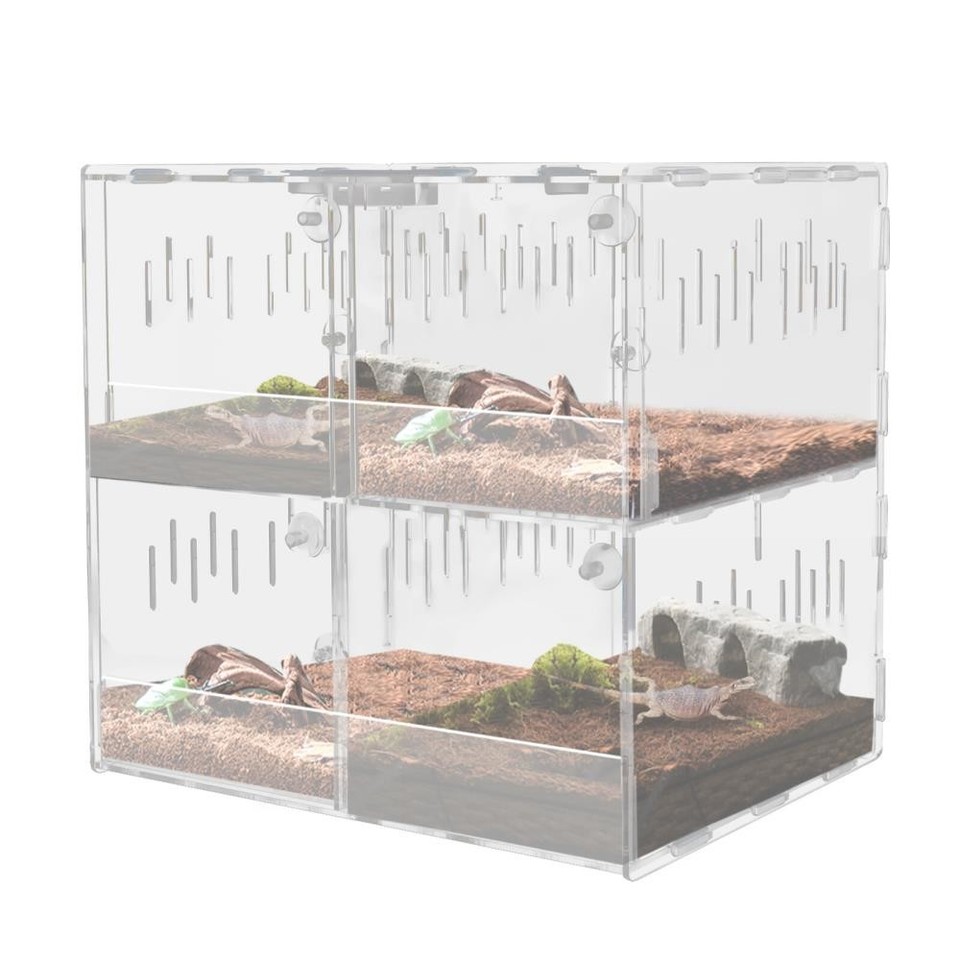 Reptile Cage Enclosure Box Scorpion Tarantula Insect Clear Display Case ...