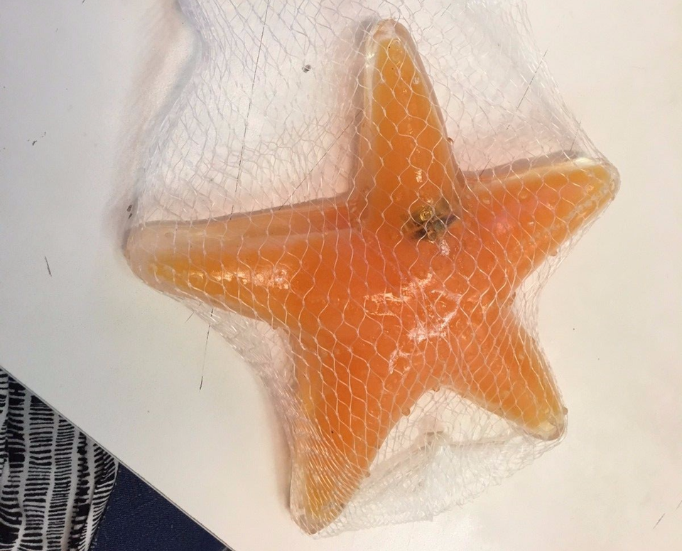 Ooey Gooey Octopus Frog Starfish Jellyfish Squishy Toys Fun Sensory ...