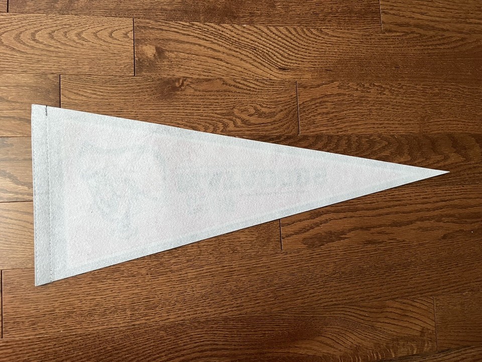 CSUN California State University Northridge Pennant Banner - 24” | eBay