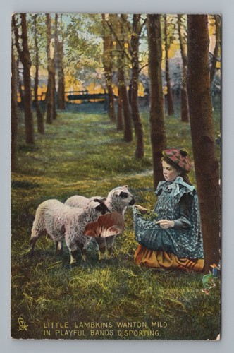 Tuck Animal Sheep Lamb Girl Vintage Postcard | eBay
