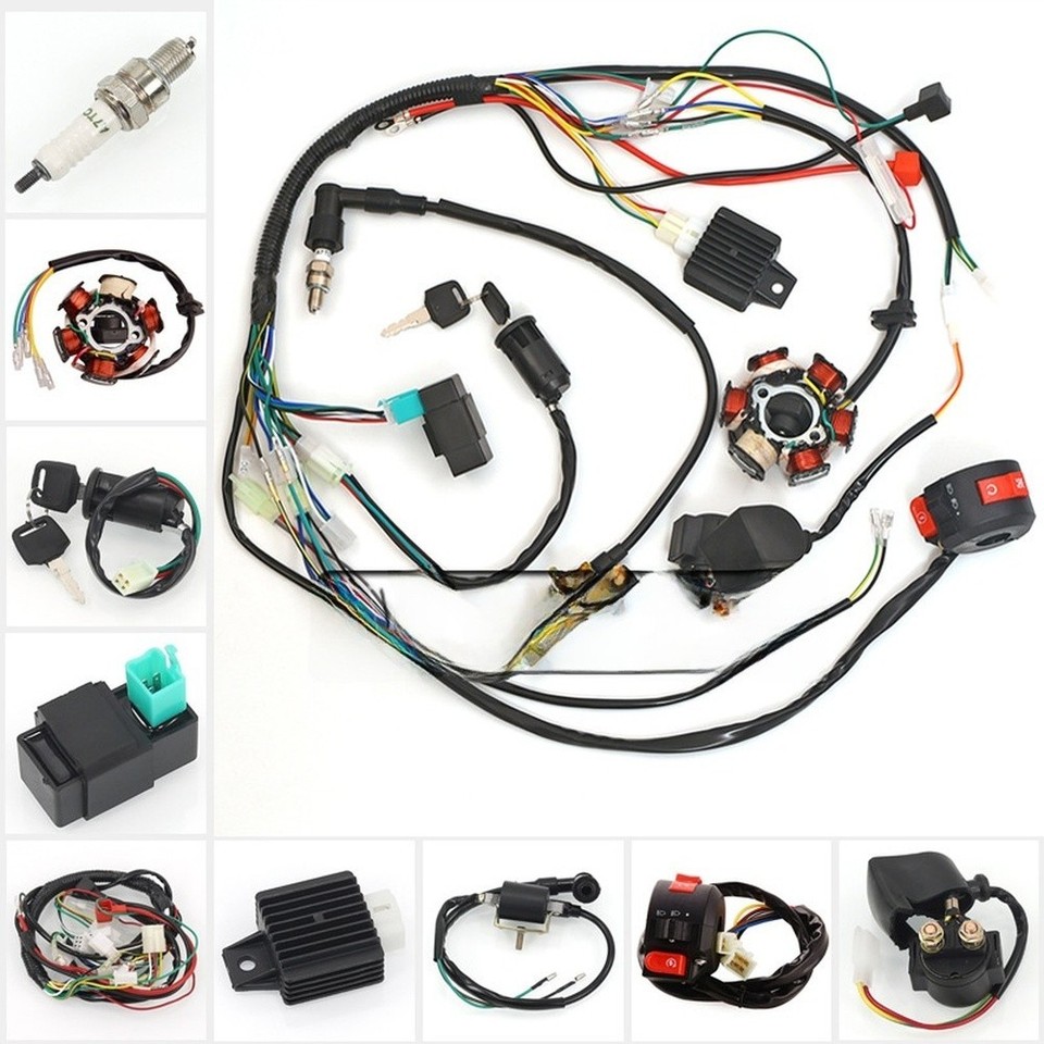 Ignition Coil ATV Wire Harness Includes Ignition Switch Magnetic Coil ...