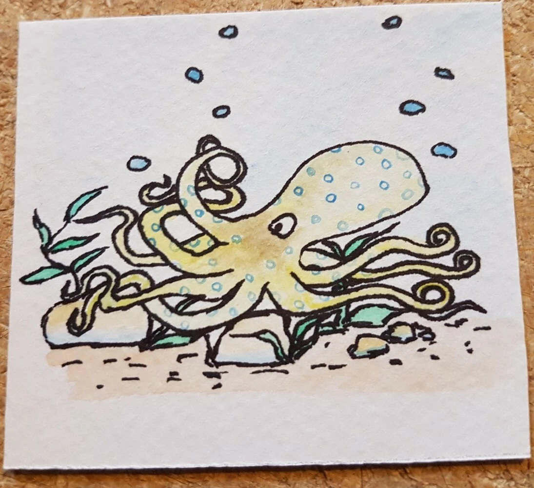 Greater Blue Ringed Octopus Drawing