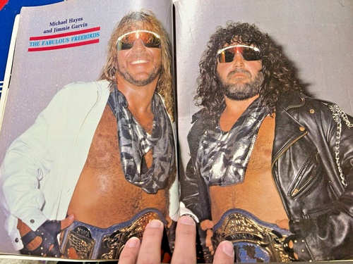 Superstar Wrestlers 1990-Freebirds-Ric Flair v. Terry Funk-Hulk Hogan ...