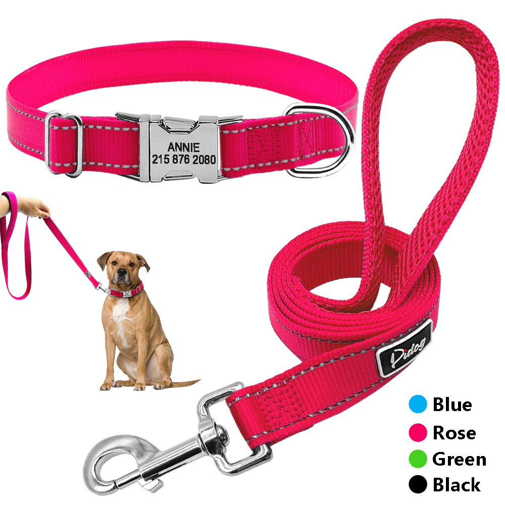 Where Do You Put The Id Tag On A Dog Collar