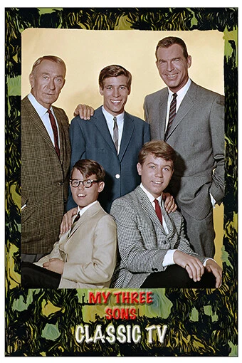 My Three Sons Tv Cast