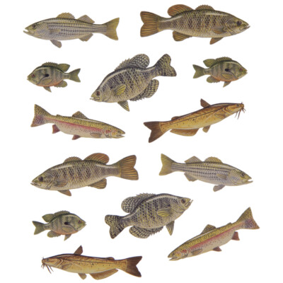 2 Sheets Freshwater Fish Stickers Papercraft Planner Scrapbook Lake ...