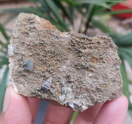 Anatase Crystal Marvels on Mother Rock - Exquisite Specimen for ...