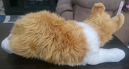 Ty Beanie Buddy - Cassie the Collie Dog - MWMT In Tag Protecter SHIPS ...