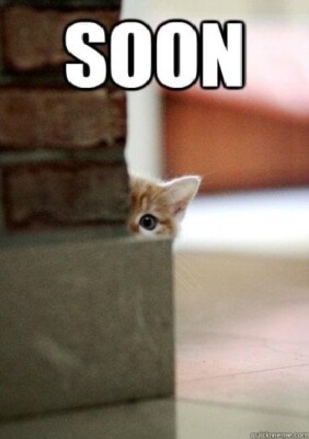 FUNNY CAT MEME "SOON" FRIDGE MAGNET 5" X 3.5" | eBay