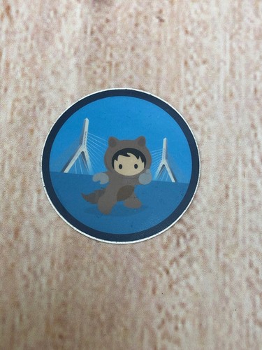 New Salesforce Stickers - Trailhead Trail Blazer Astro Zakim Bridge ...