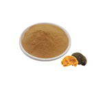 1.1LB Phellinus Linteus Extract 20:1 Powder | eBay