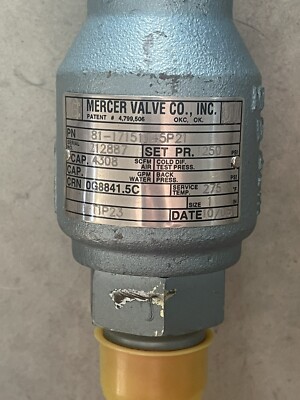 MERCER Relief Valve 8100 PN: 81-17151T45P21 1" MNPT x 1" FNPT | Set ...