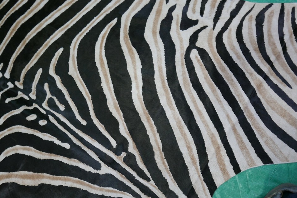 Zebra Print Cowhide Rug Size: 7 X 6' Genuine Zebra Print Cow Hide Rug ...